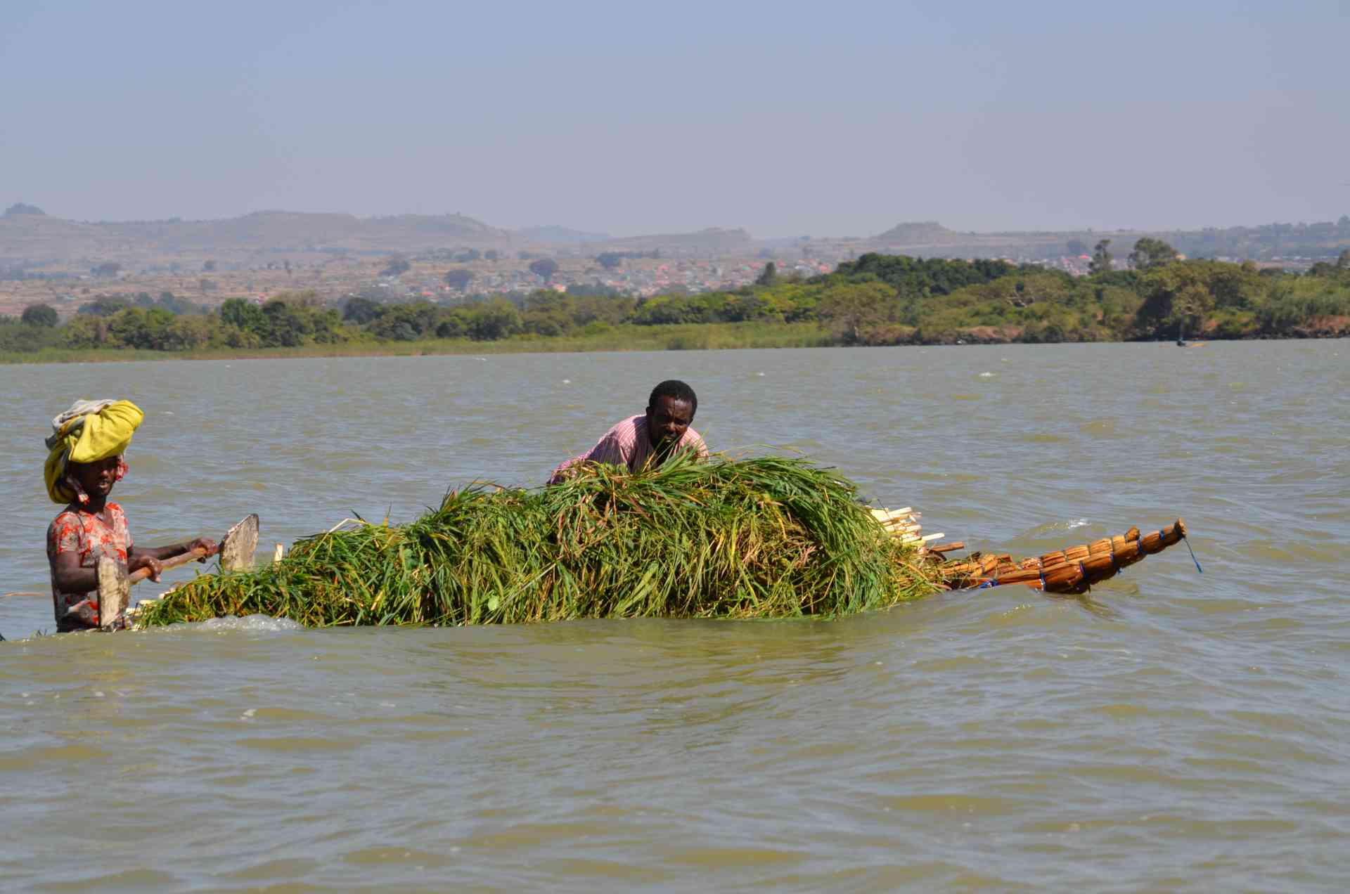 Ethiopia in Depth 2021 | Bunnik Tours