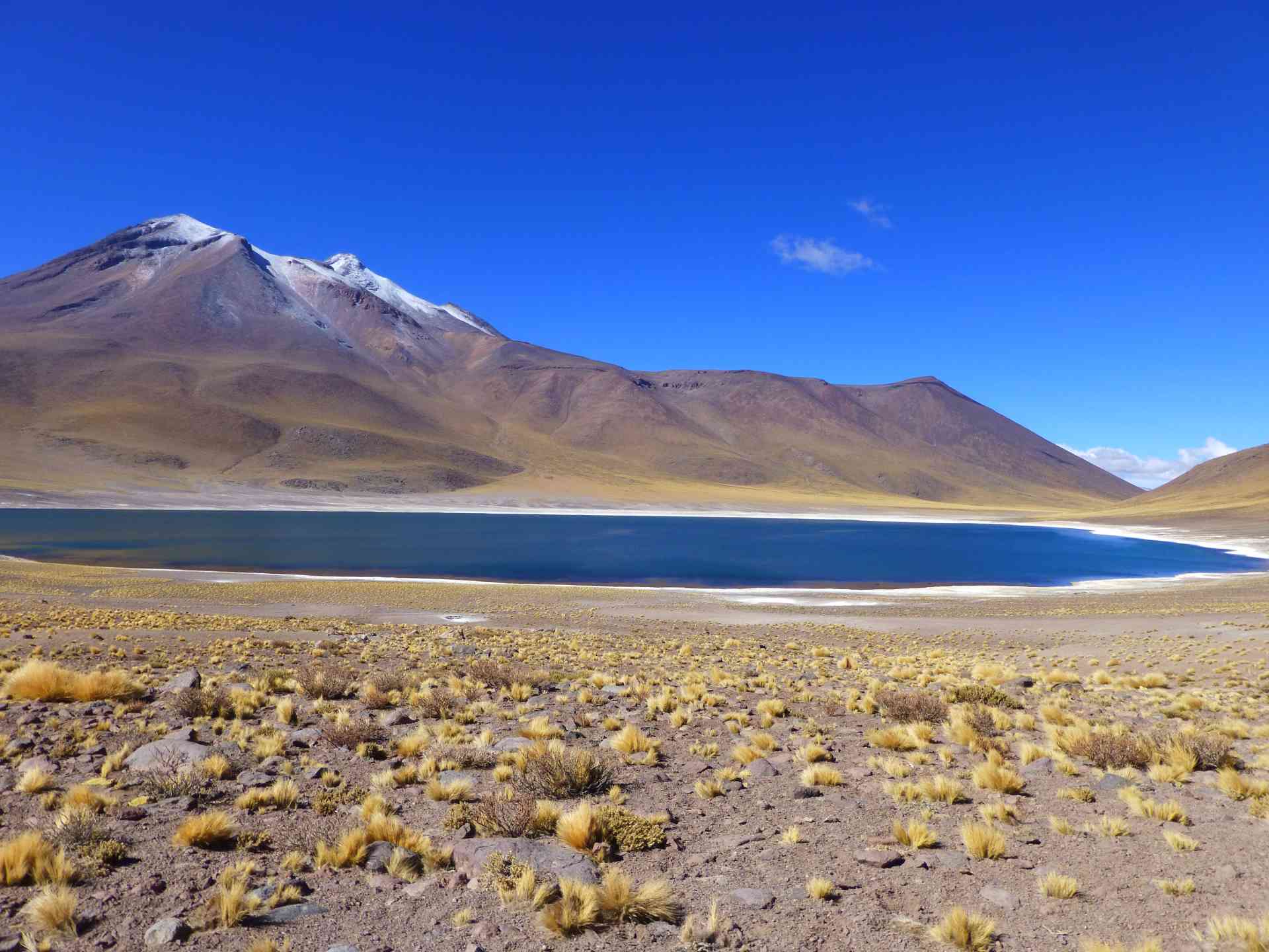 Atacama In-Style | Bunnik Tours