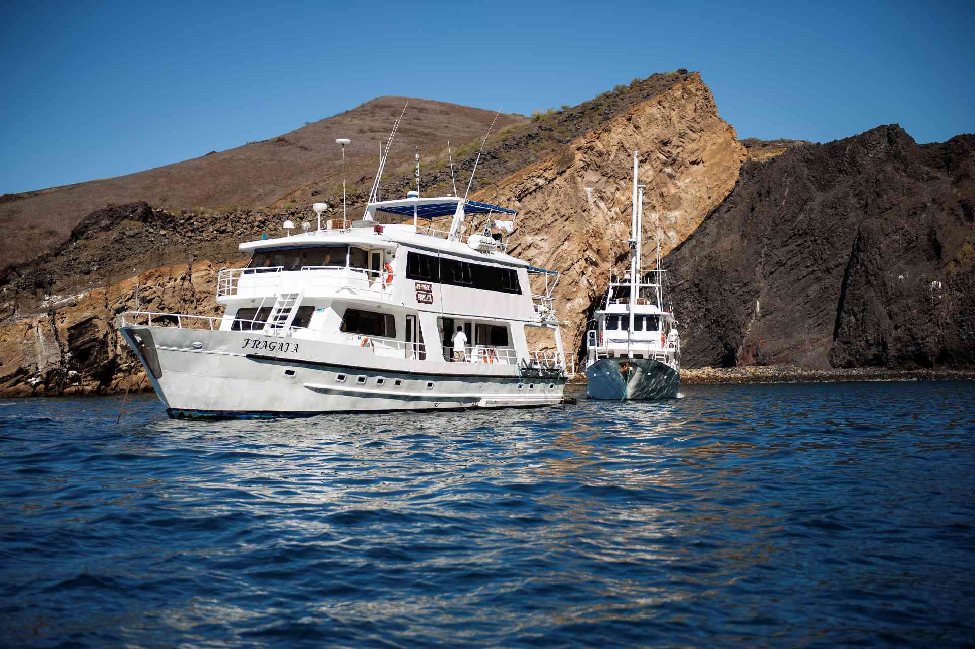 Galapagos - Fragata - 5 Day Cruise | Bunnik Tours