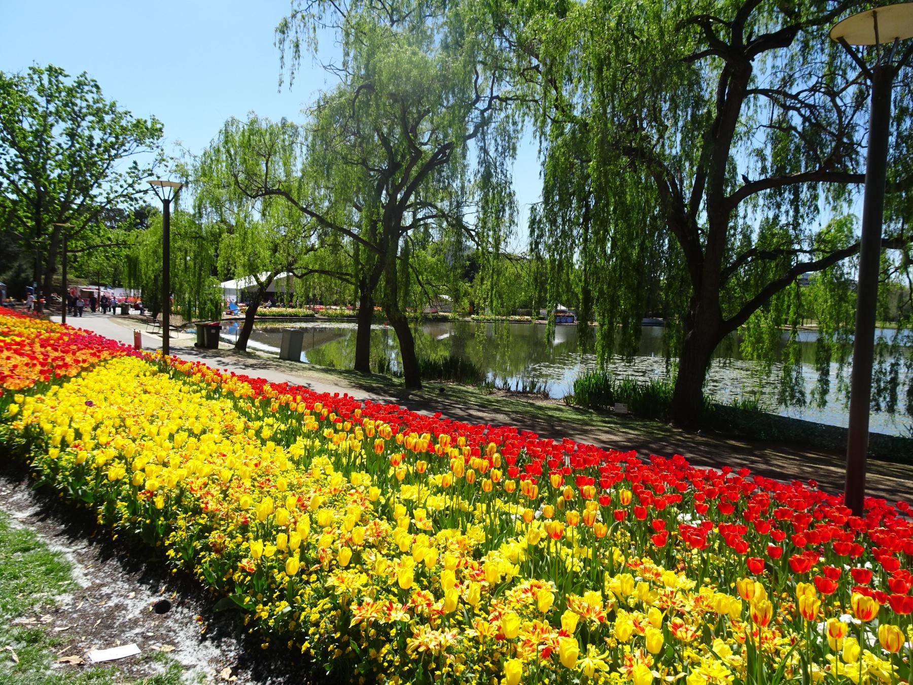 10 reasons why a trip to Canberra will blow your mind! | Bunnik Tours