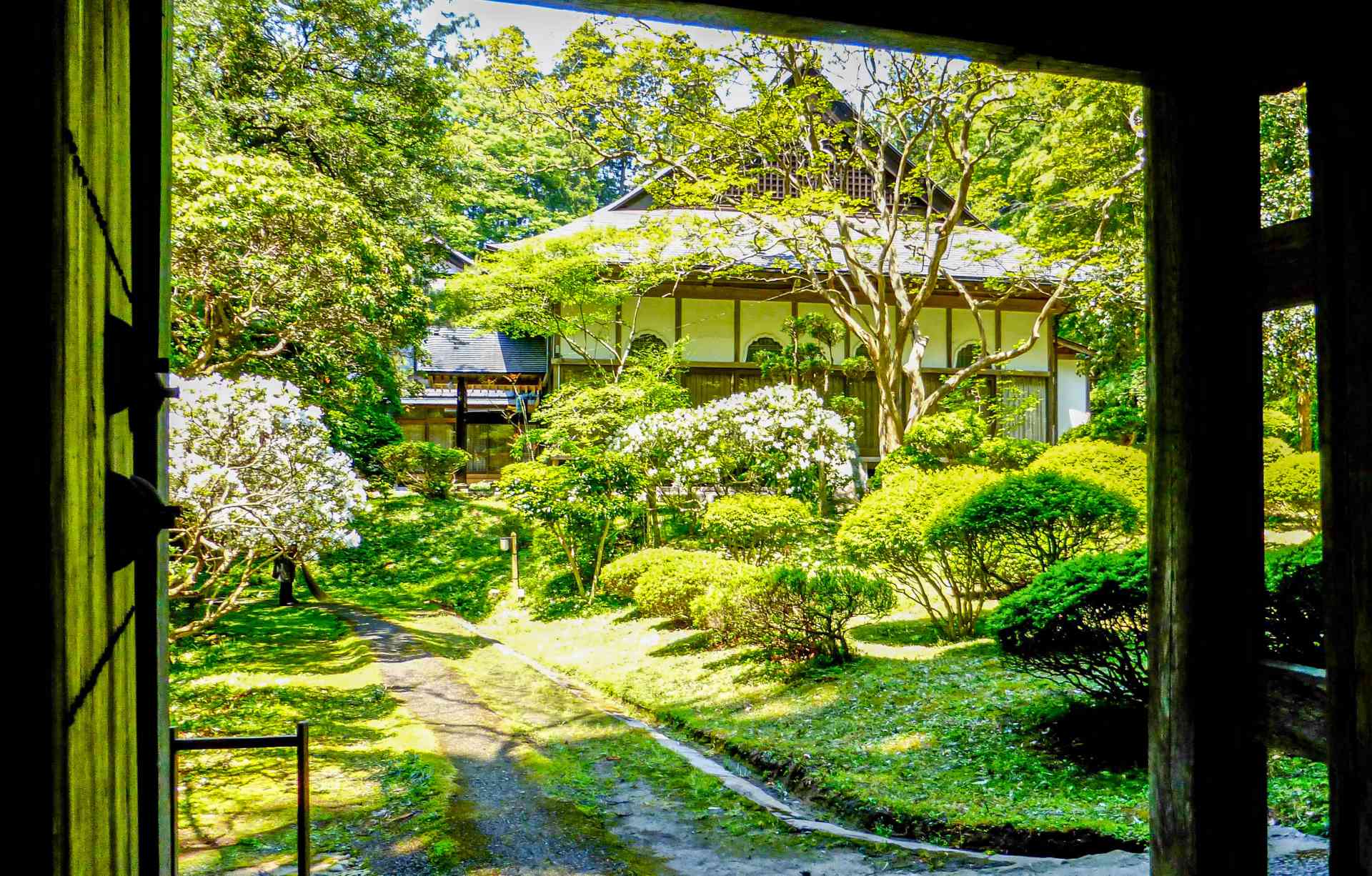 Colours of Northern Japan | Bunnik Tours
